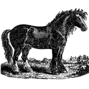 Gnucobol Gnu Project